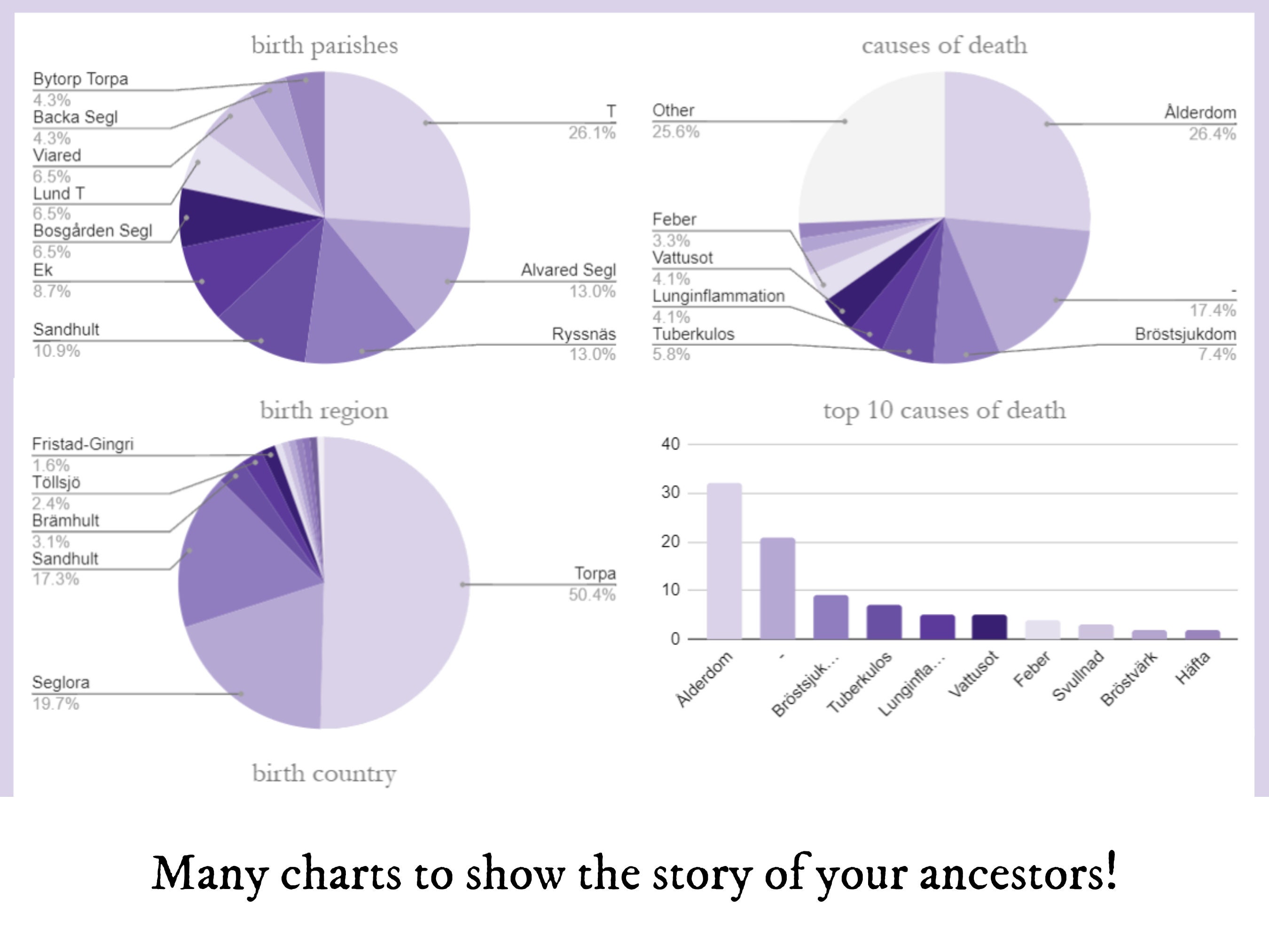 9 Generation Family Tree Spreadsheet Template for Google Sheets ...