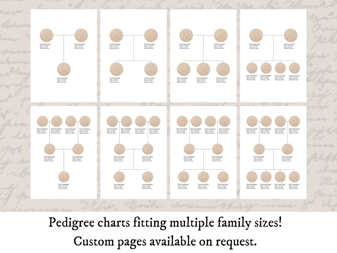 Family Ancestry Book Template A4 & Letter Size - Genealogy, Family Tree ...