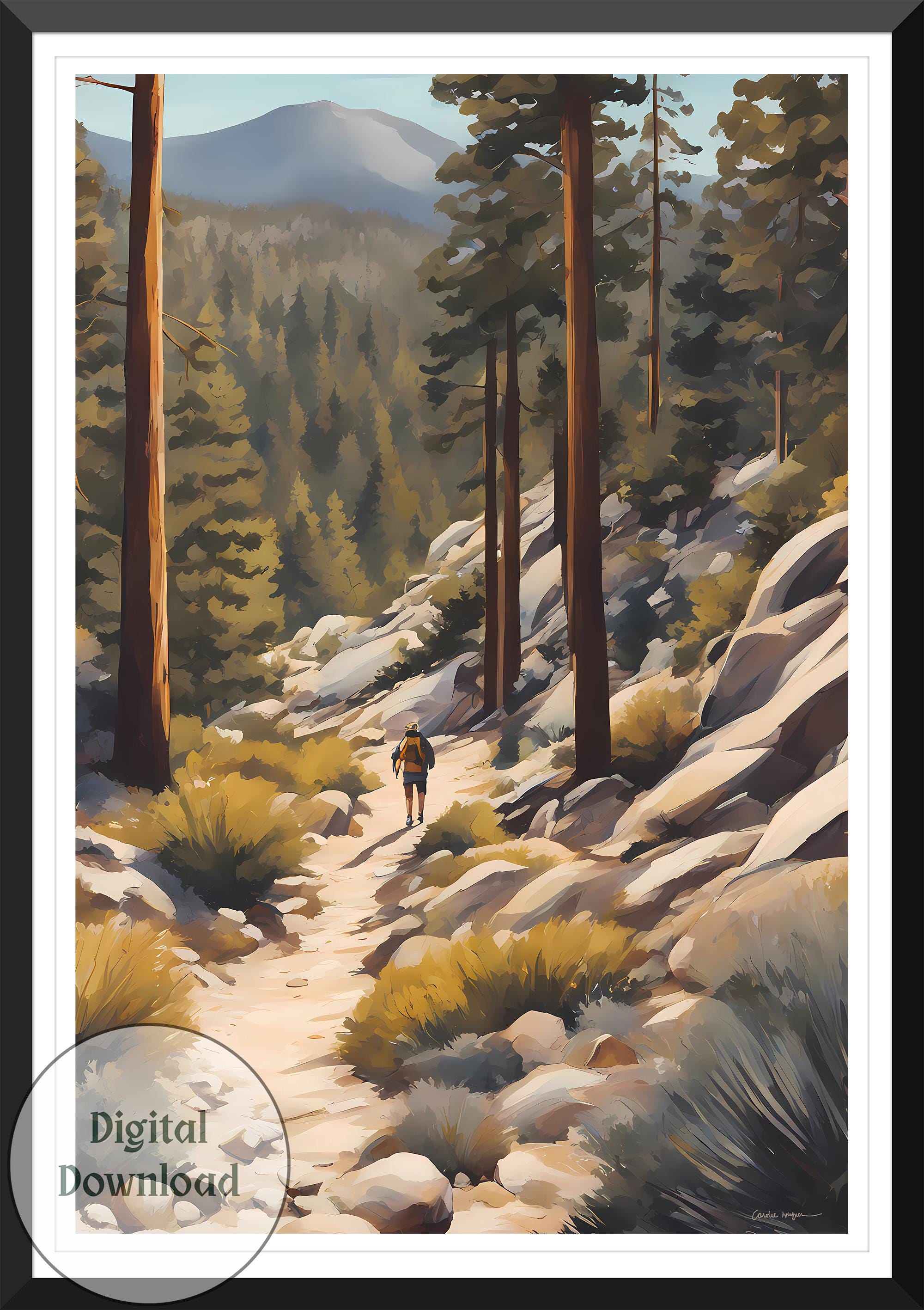 Scenic Forest Trail Hiking Poster | Digital Download (multiple Aspect ...