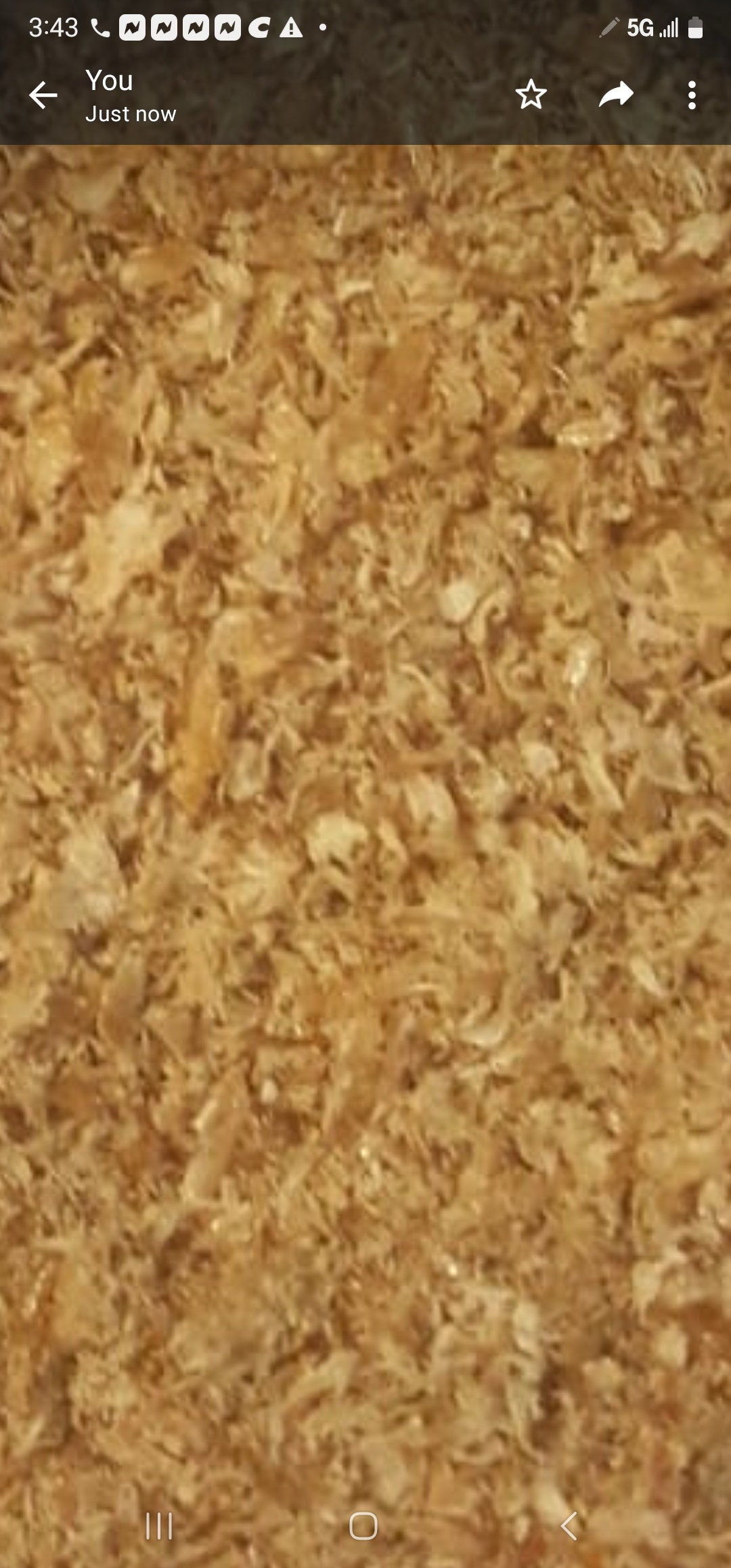 Ground Dried Crayfish: Organic African Cuisine - 1lb Cup - Etsy