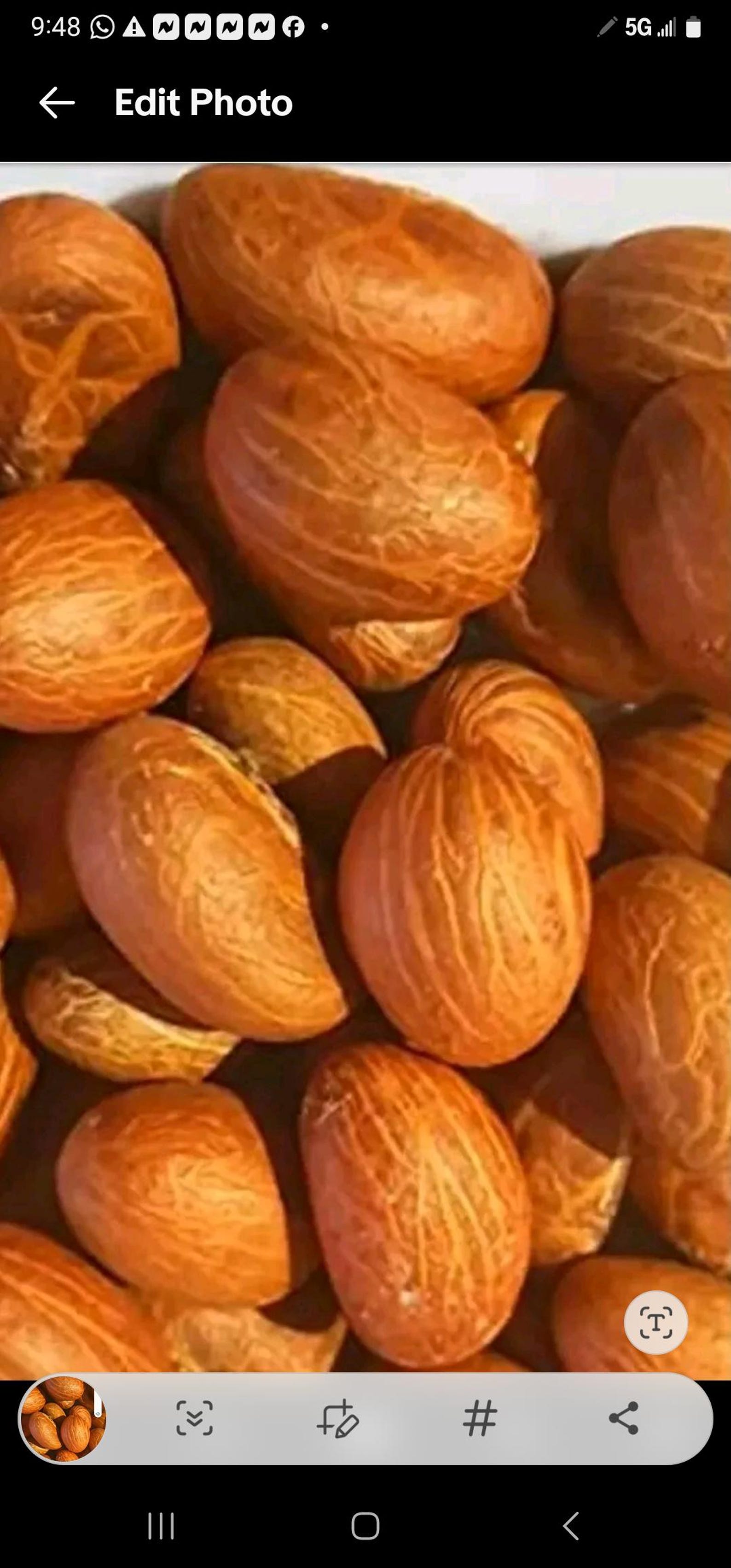 Organic African Bitter Kola (garcinia Kola) 12pics -- USA SELLER - Etsy