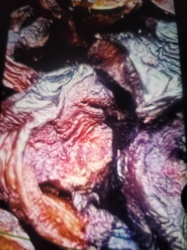 Dry Mangala Catfish: Organic African Cuisine Fish - Etsy