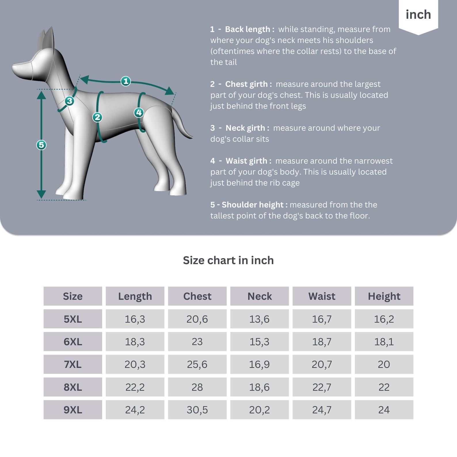 Custom Size Dog Mannequin Pattern – PDF Sewing Template for a Realistic ...