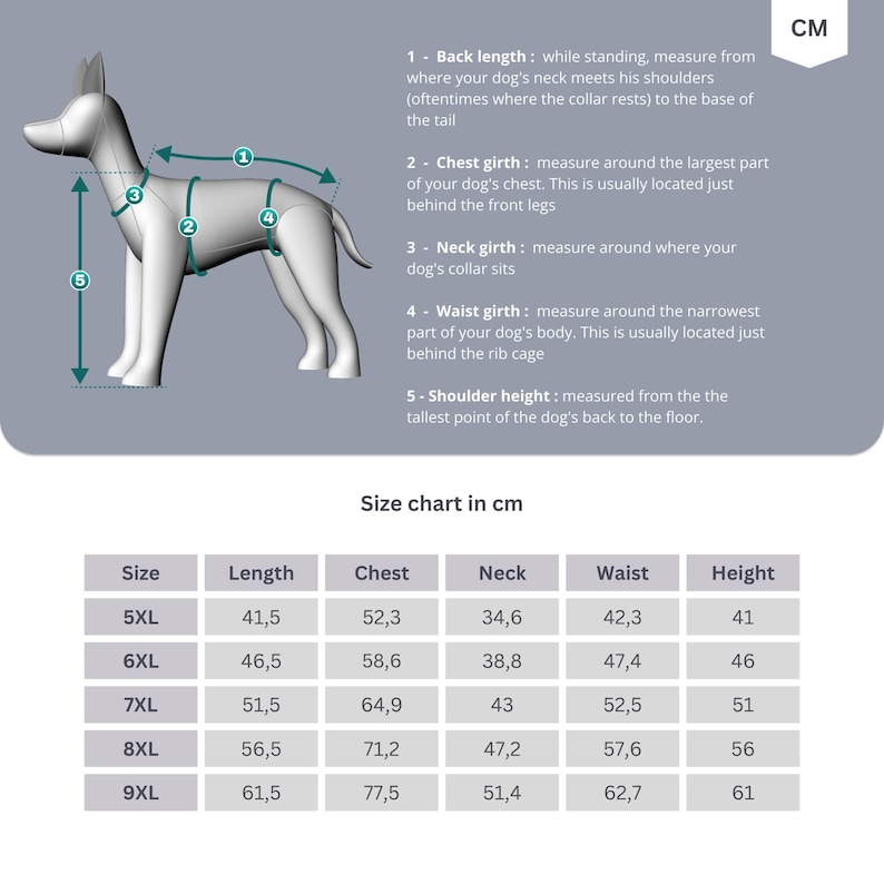 Custom Size Dog Mannequin Pattern – PDF Sewing Template for a Realistic ...