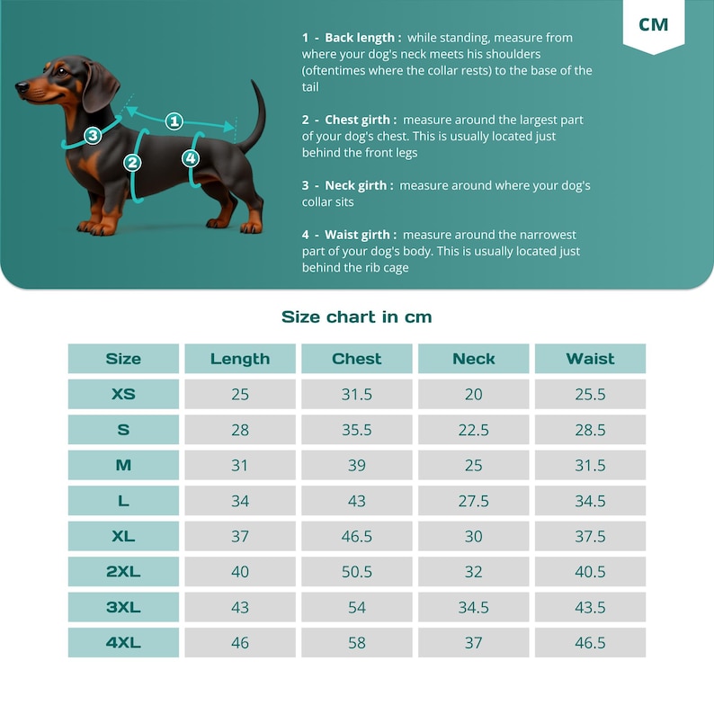 Dachshund Mannequin Sewing Pattern Bundle PDF – XS to 4XL With Full ...