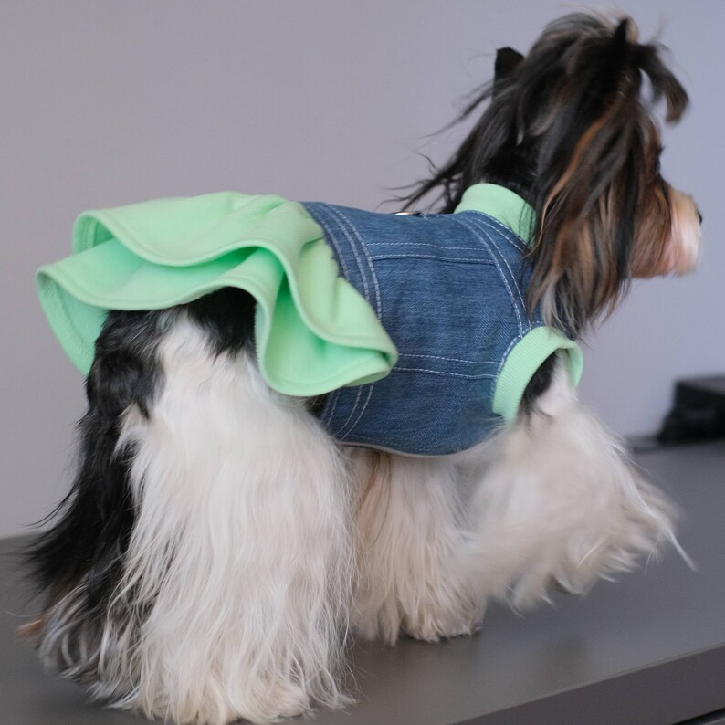 Girl Dog Vest Sewing Pattern M Easy DIY Tutorial for Small Dog Denim ...