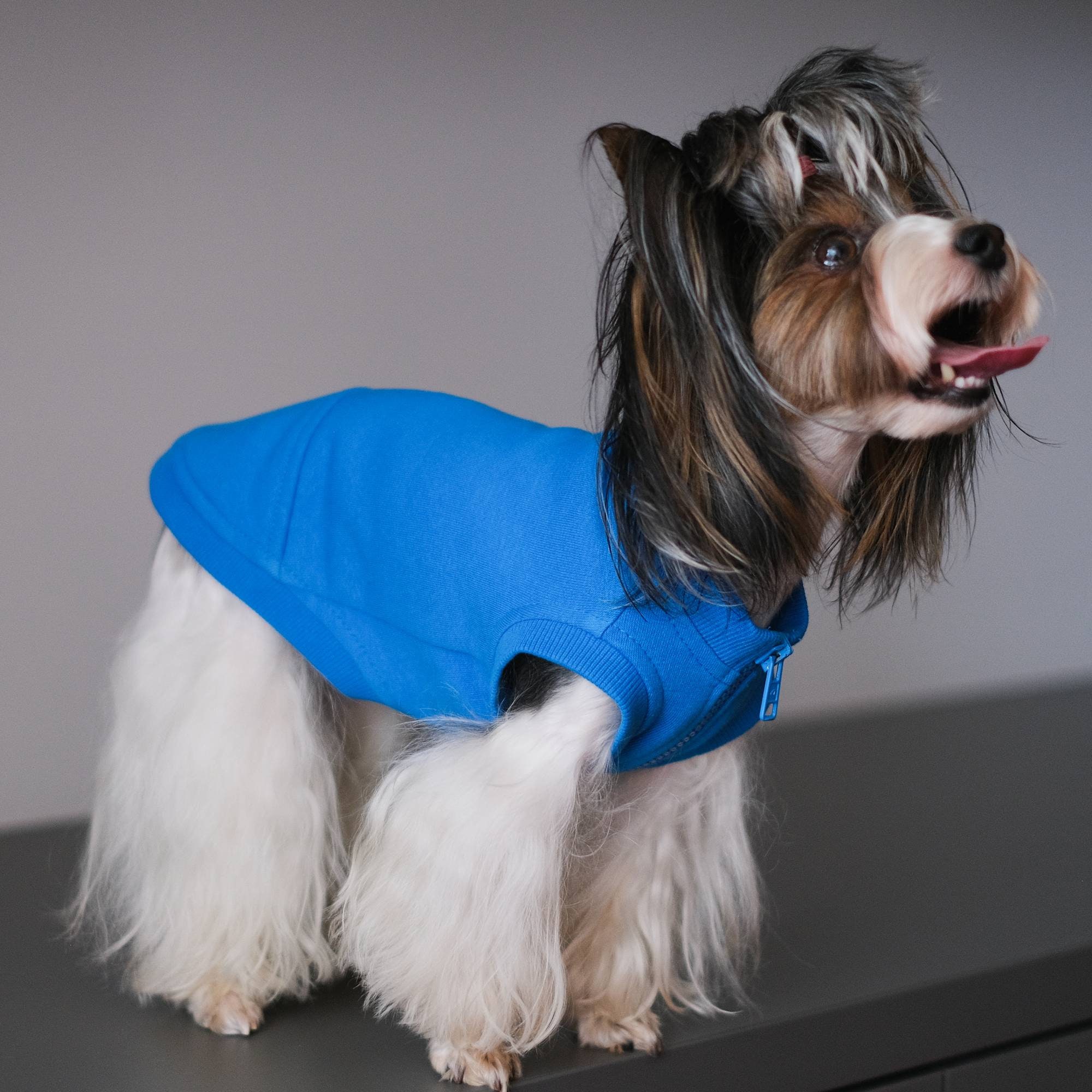 Dog Vest Sewing Pattern Bundle (L Size): PDF Guide for Denim & Fleece ...