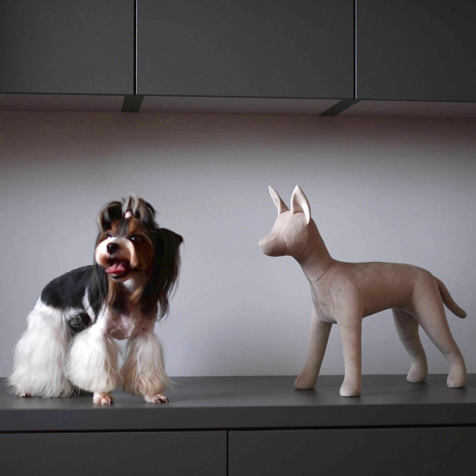 Easy-to-follow 2XL Dog Mannequin Sewing Pattern - Step-by-step ...