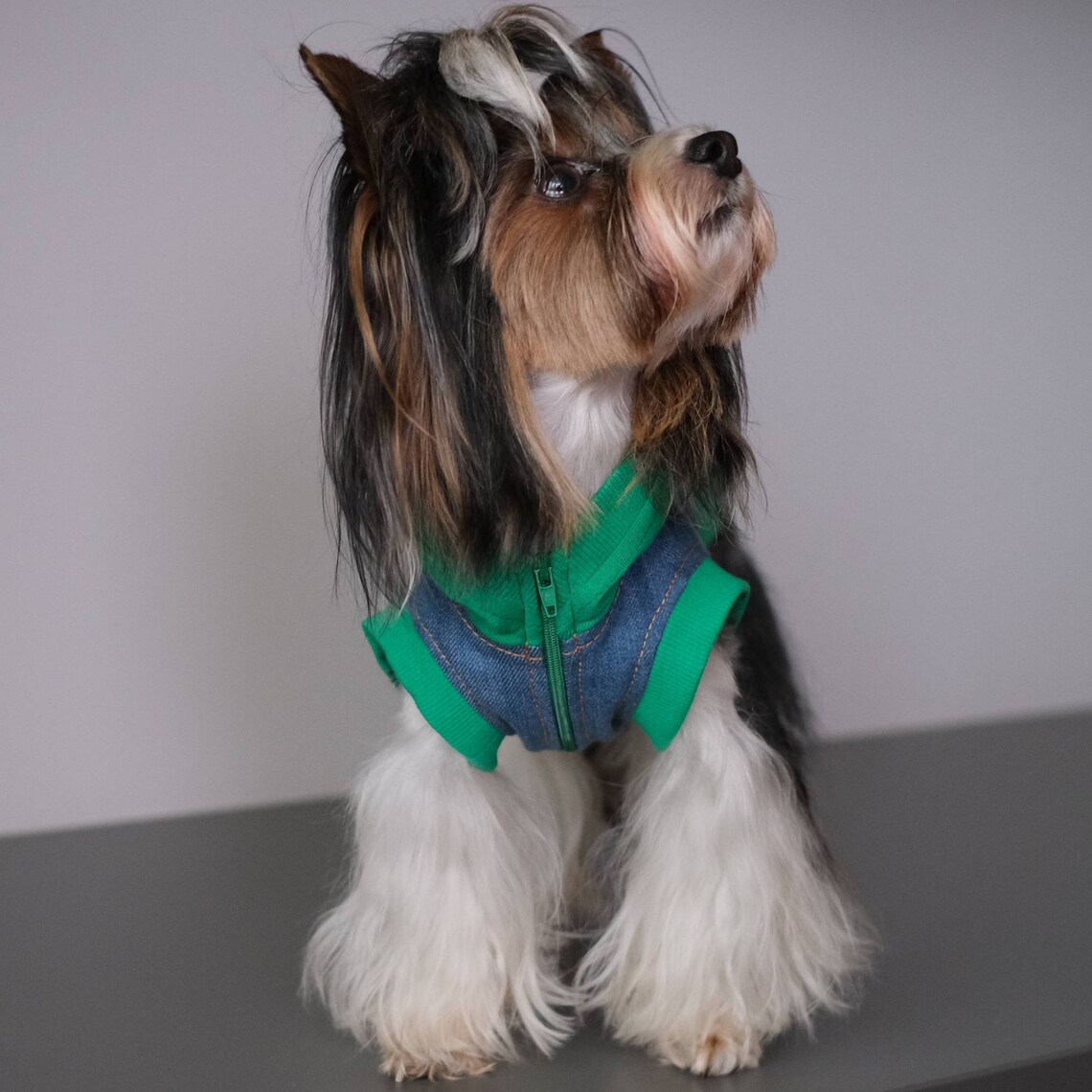 Handmade Dog Denim Vest Sewing Pattern (4XL Size) - DIY Pet Jacket ...