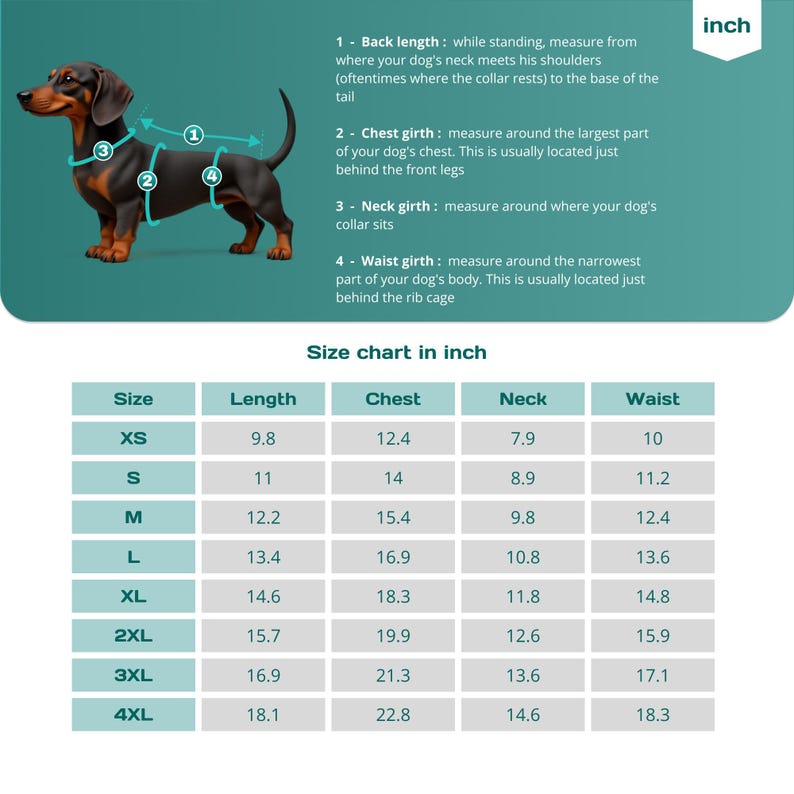 Dachshund Mannequin Sewing Pattern Bundle PDF – XS to 4XL With Full ...