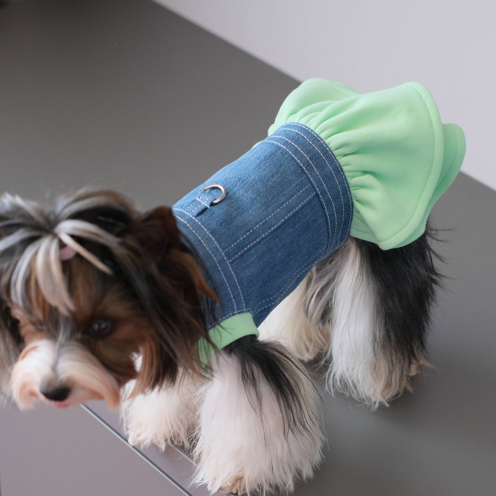 Girl Dog Vest Sewing Pattern M Easy DIY Tutorial for Small Dog Denim ...