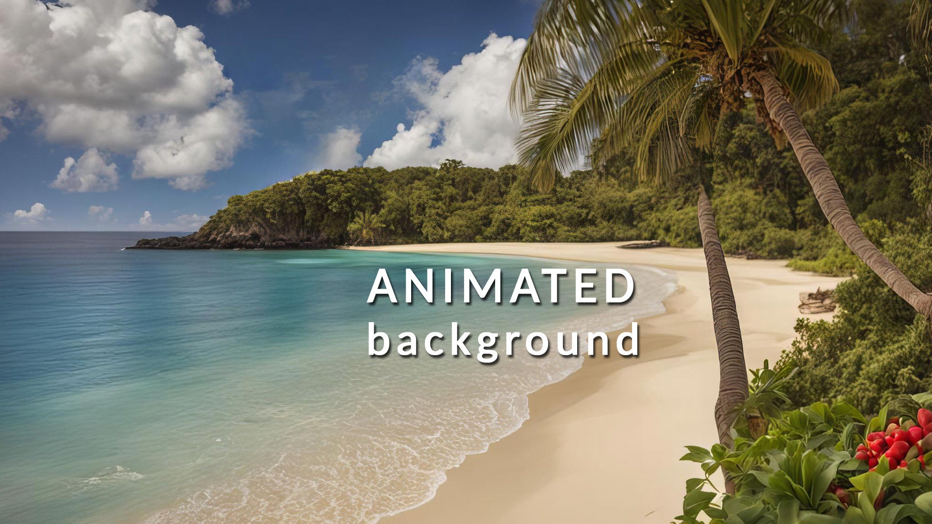 Beach Animated Background for Twitch Vtuber Youtube, Virtual Background ...