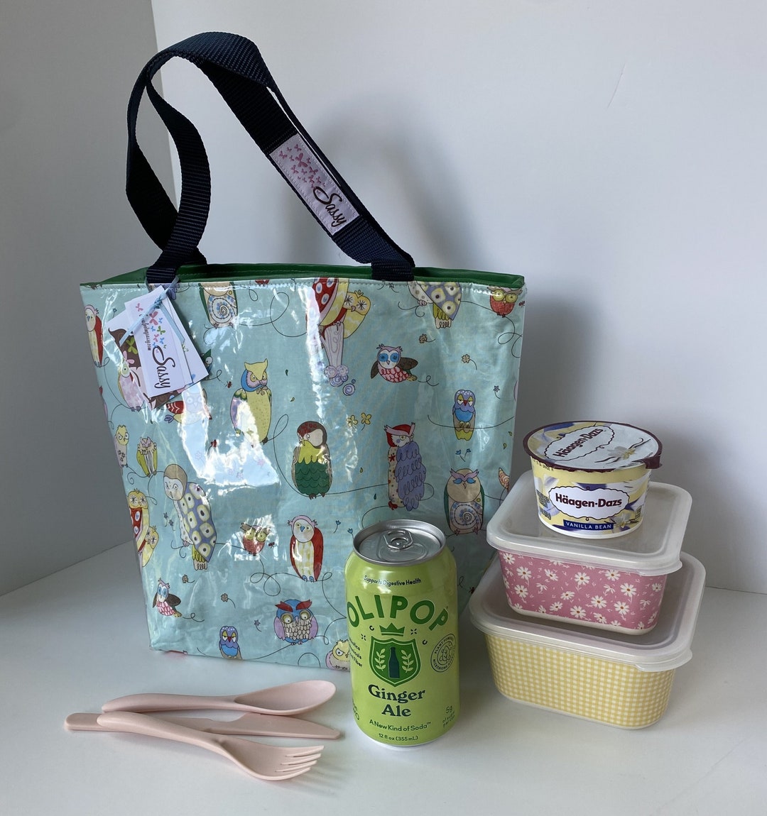Sassy Owls Fabric Reusable Lunch Bag, Lunch Sack, Reusable Bag, Picnic ...