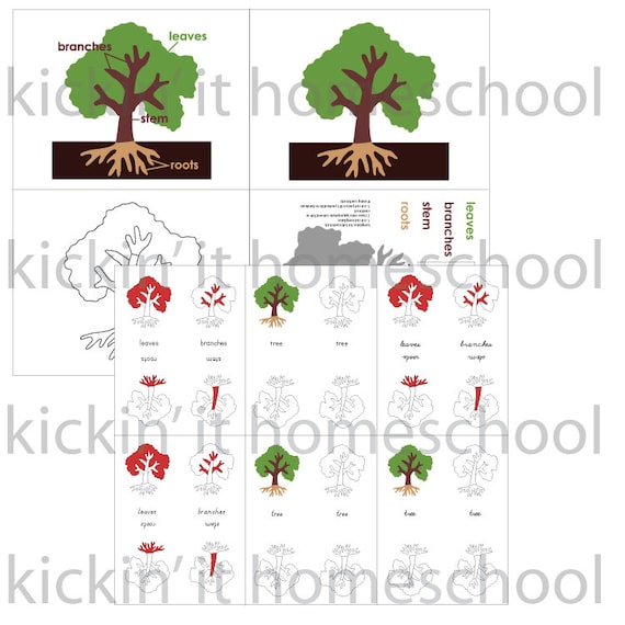 DIGITAL Printable PDF Download to make Montessori Botany Felt