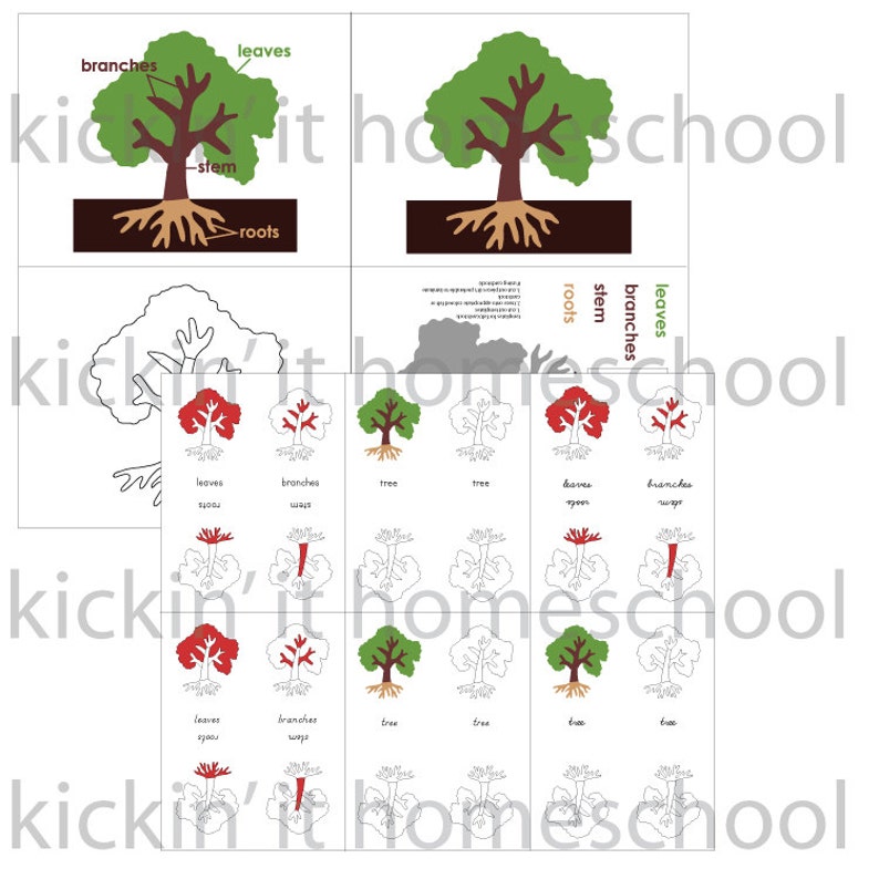 DIGITAL Printable PDF Download to Make Montessori Botany Felt Parts of ...
