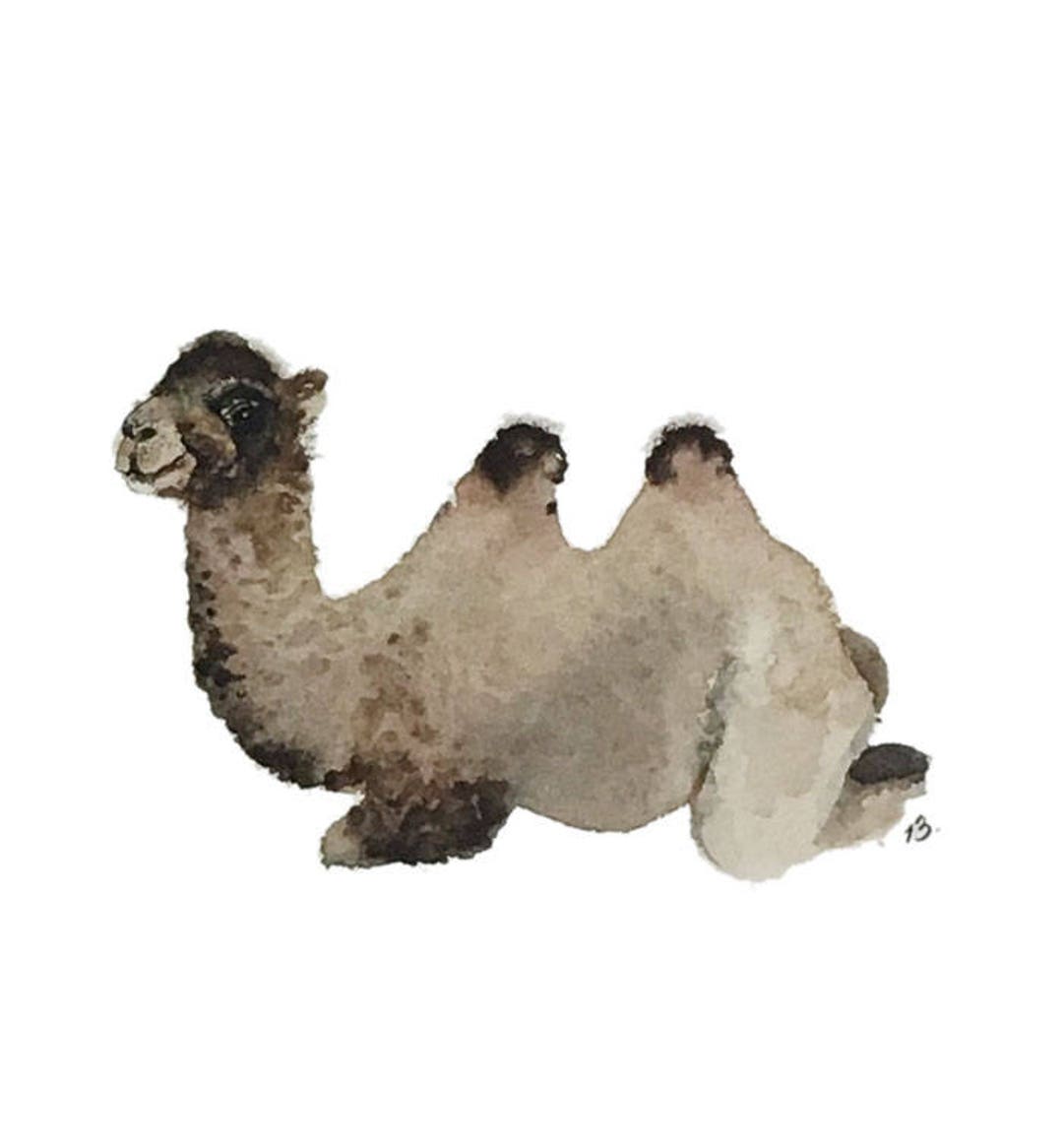 Camel Blank Greeting Card Reproduction of My Original - Etsy