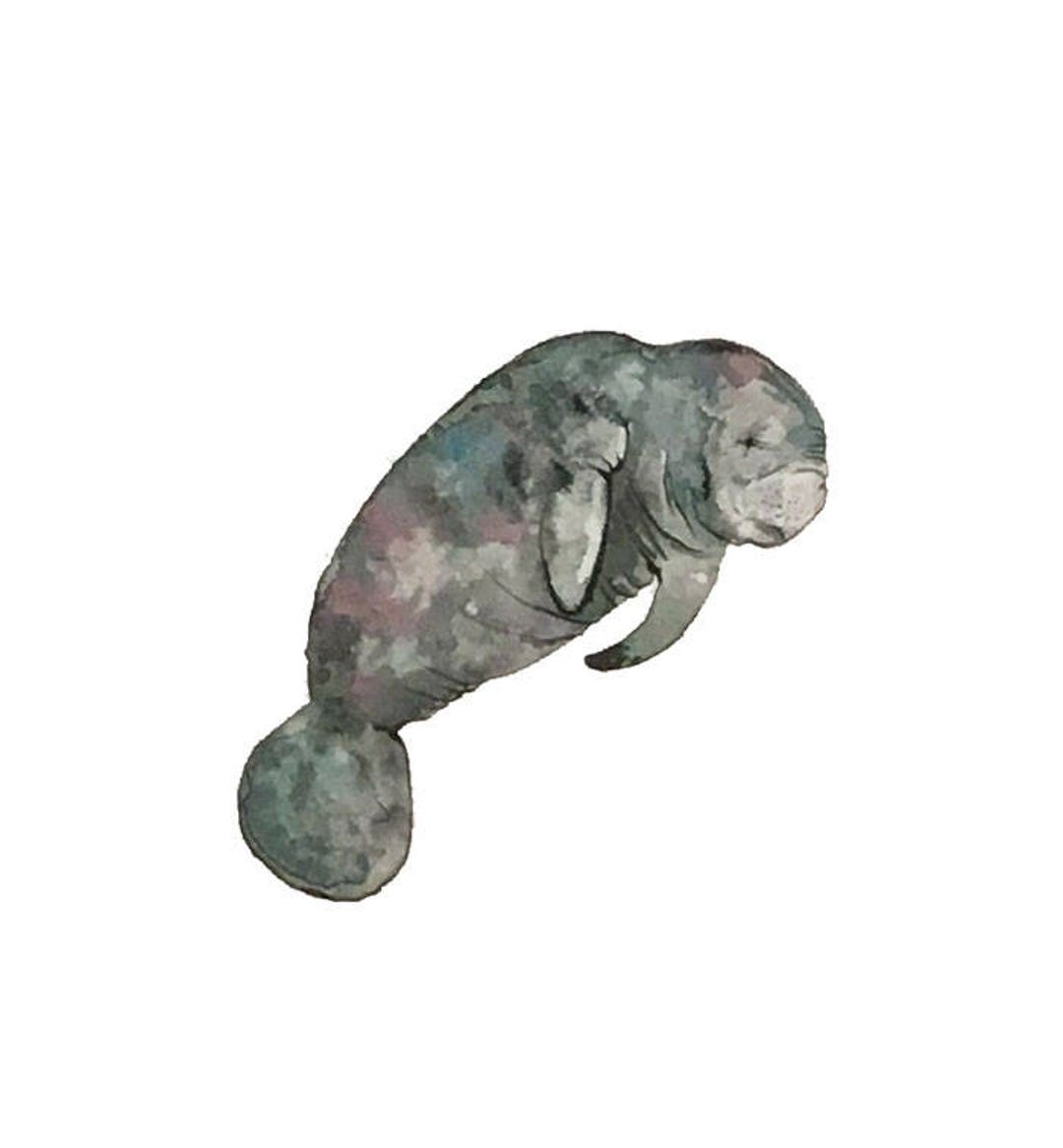 Manatee Blank Greeting Card Reproduction of My Original Watercolor Ink ...
