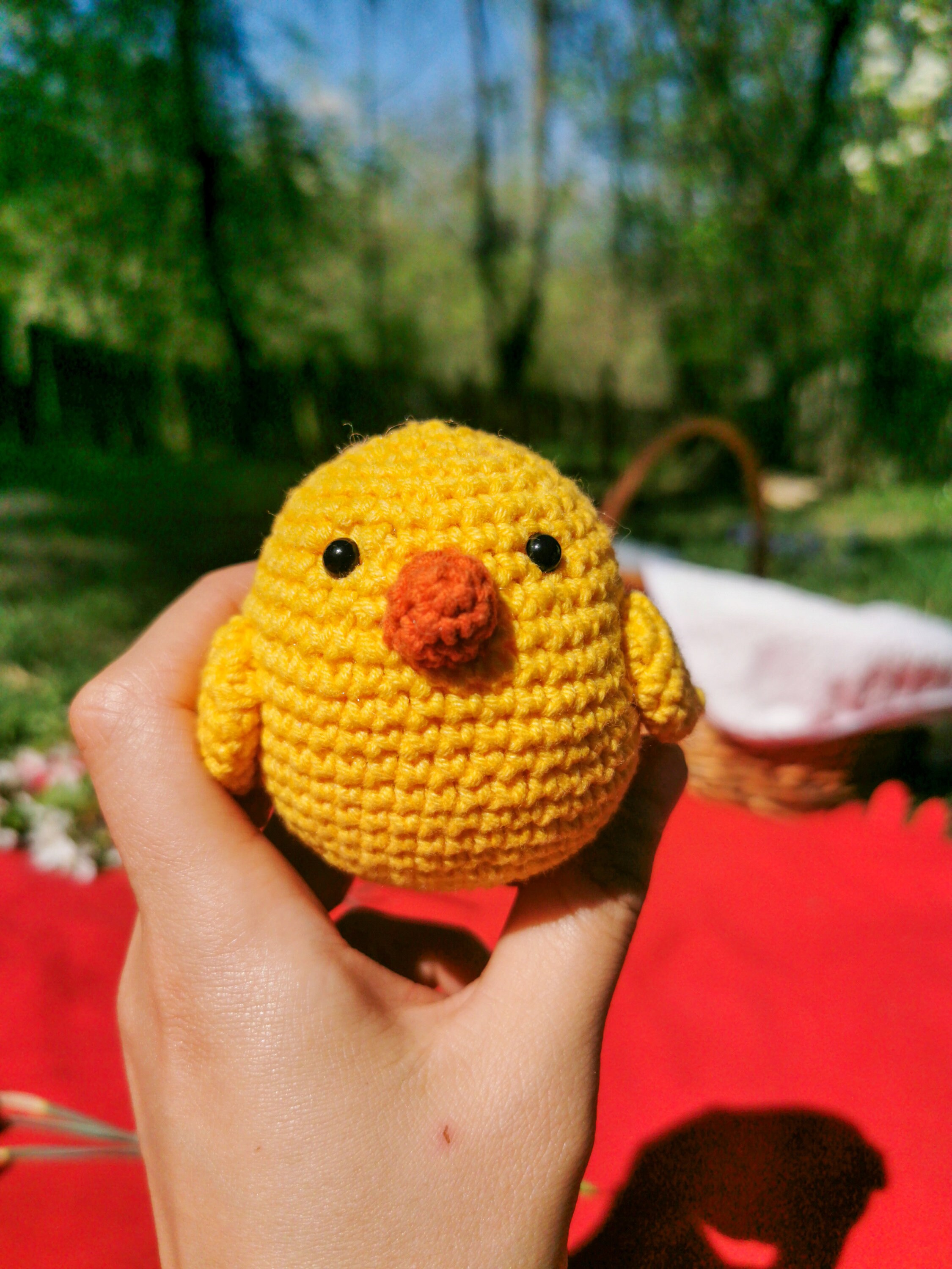 Sunny the Chick Crochet Pattern - Etsy