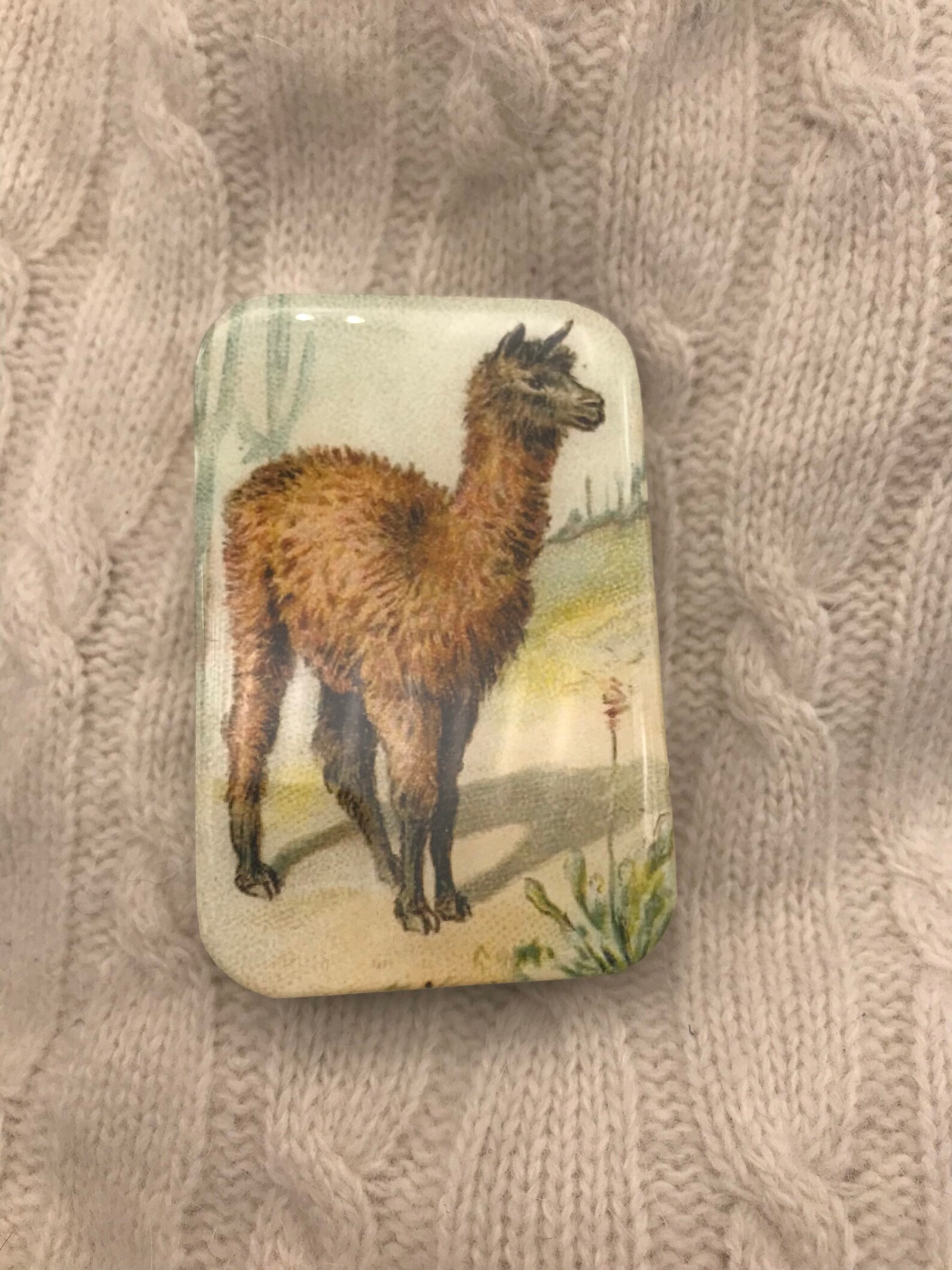 Llama Craft Notions Kit Tin With Scissors Alpaca Stitch - Etsy