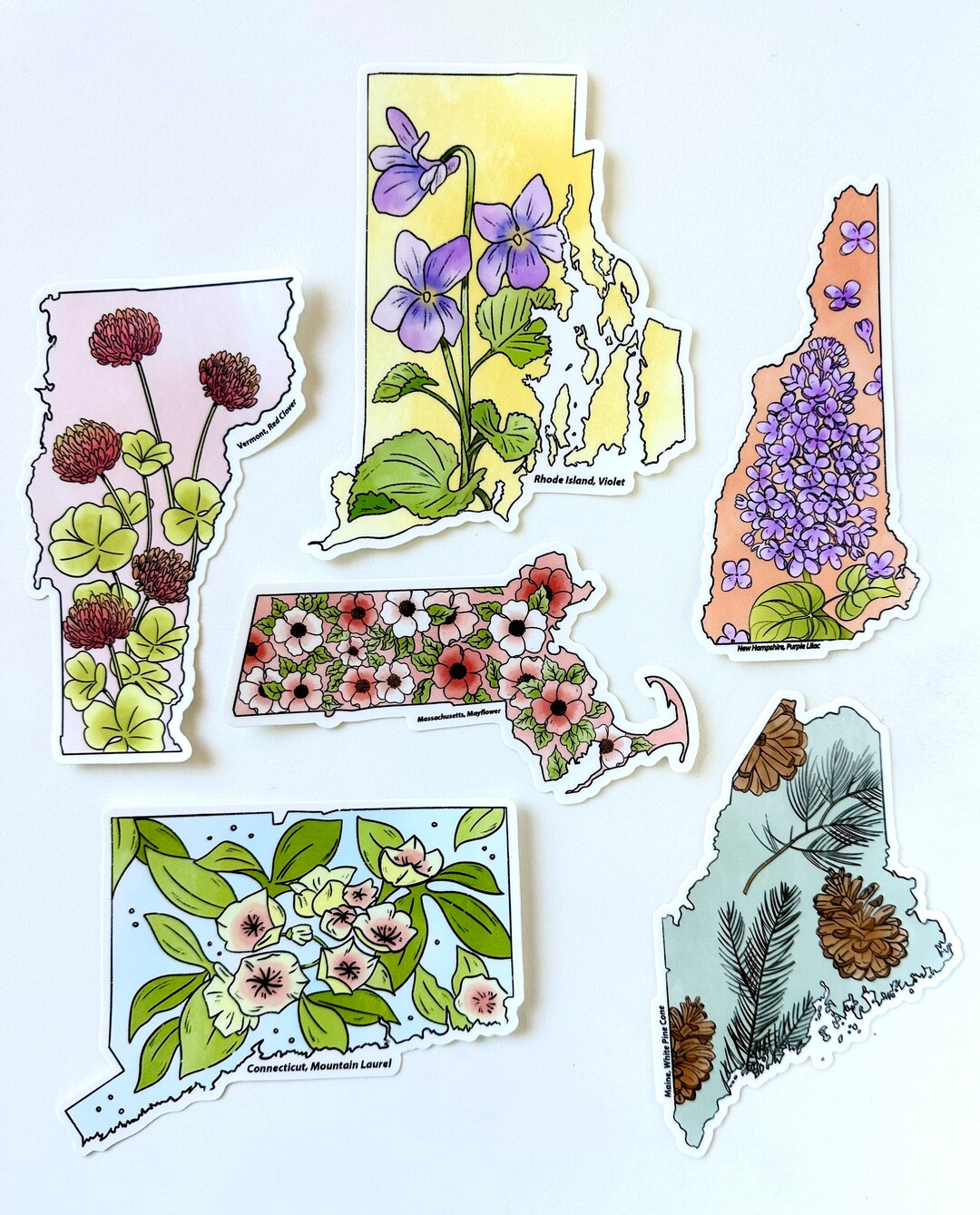 New England Stickers, State Flower Stickers, Maine, Massachusetts ...