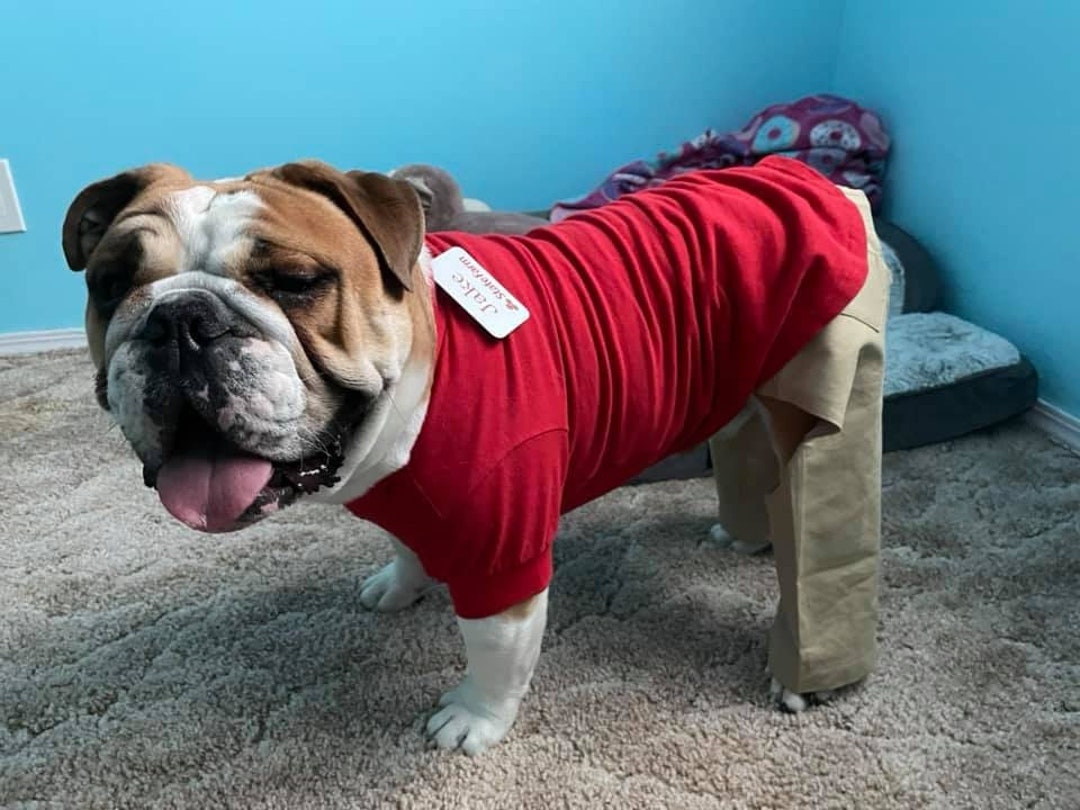 Pants for Dogs,dog Pants,dog Trousers,dog Jeans Khaki Pants Dog Long ...