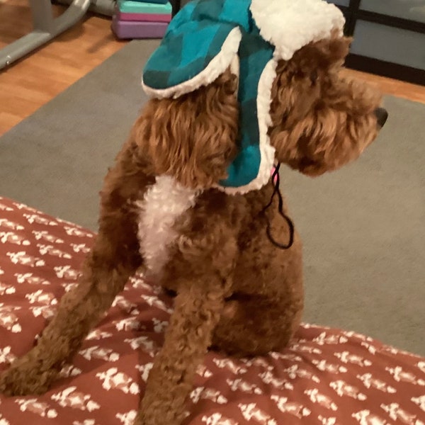 Dog Hat - Etsy