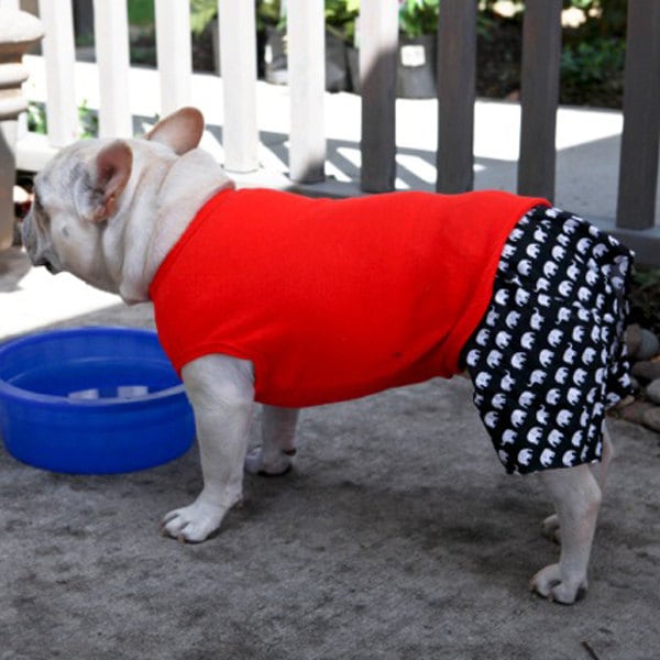 Dog Shorts, Dog Boxer Shorts, Dog Pants, Dog Pants,plaid Dog Shorts ...