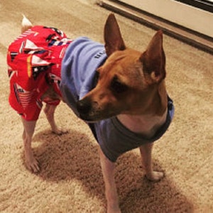 Dog Shorts, Dog Boxer Shorts, Dog Pants, Dog Pants,plaid Dog Shorts ...