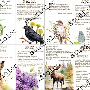 Nature Phenology Wheel and Calendar of Firsts Journal Project - Etsy