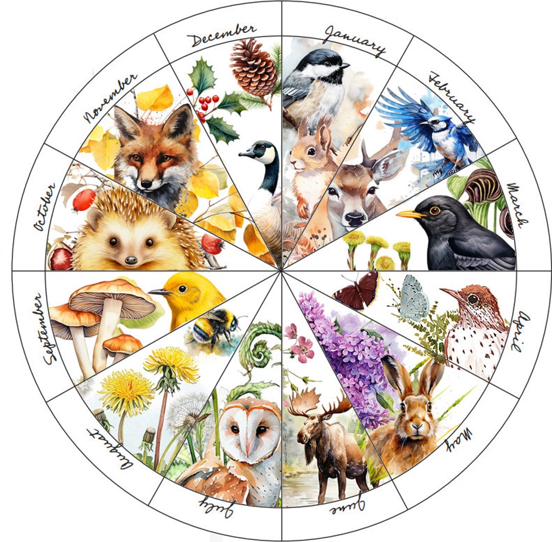 Nature Phenology Wheel and Calendar of Firsts Journal Project - Etsy