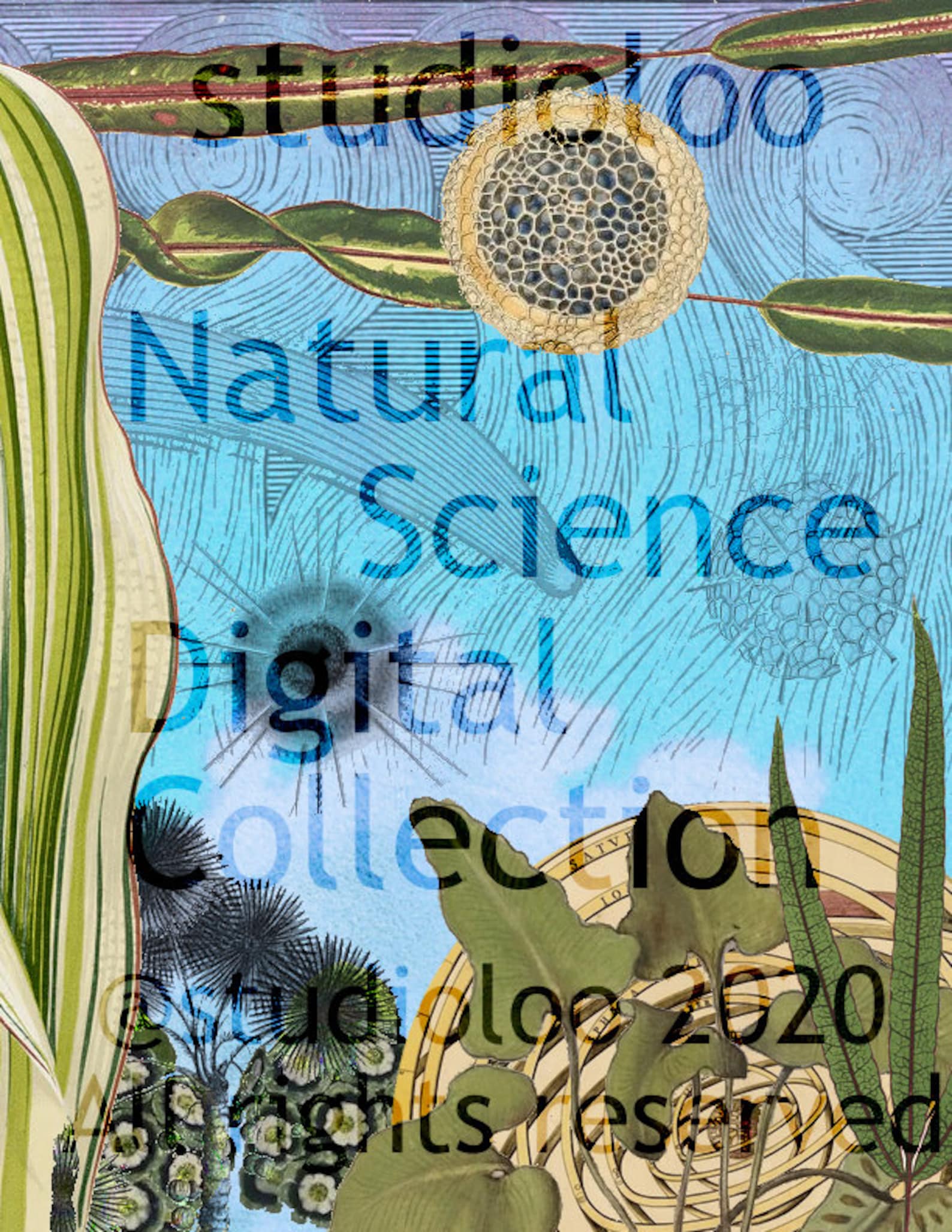 Colección de Ciencias Naturales 1 Collage Digital Descargar | Etsy