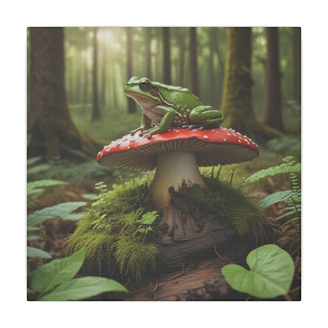 Toad and Toadstool - Etsy