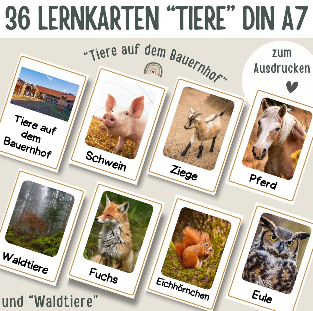 Animal Learning Cards | Montessori Learning Cards for Children ...
