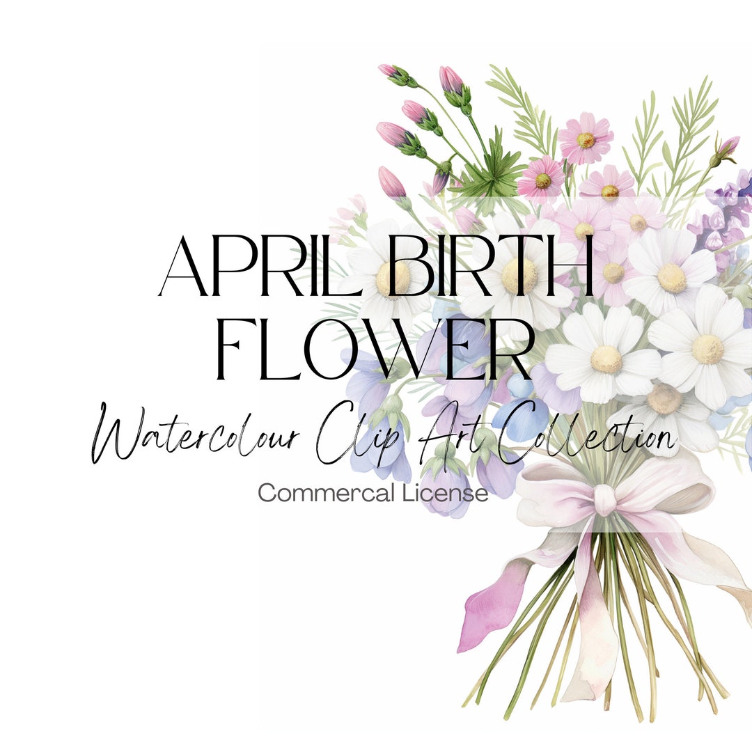 April Birth Flower Bouquet Watercolour Clip Art, Daisy & Sweet Pea ...