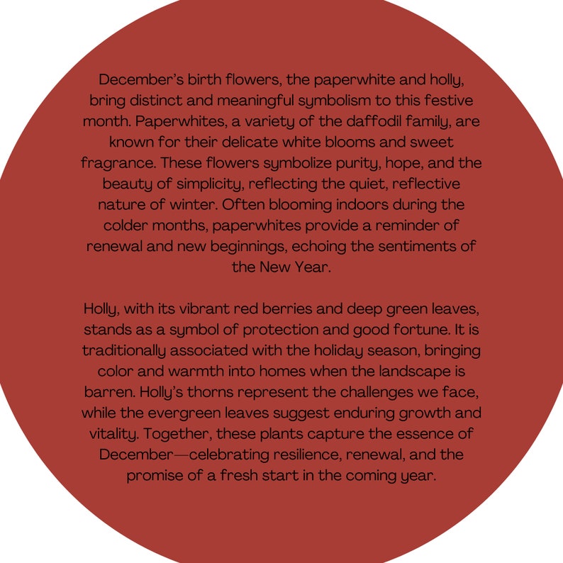 December Birth Flower | Paperwhites & Holly | Floral Clip Art ...