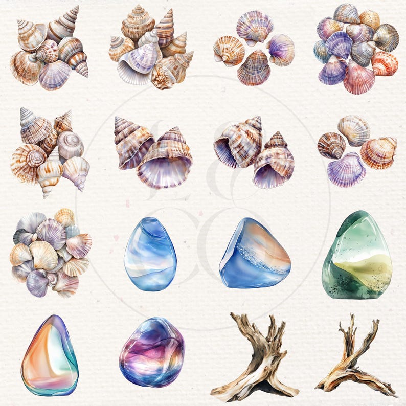 Seashell Watercolor Clipart Bundle – Beach, Ocean, Coastal (PNG) - Etsy