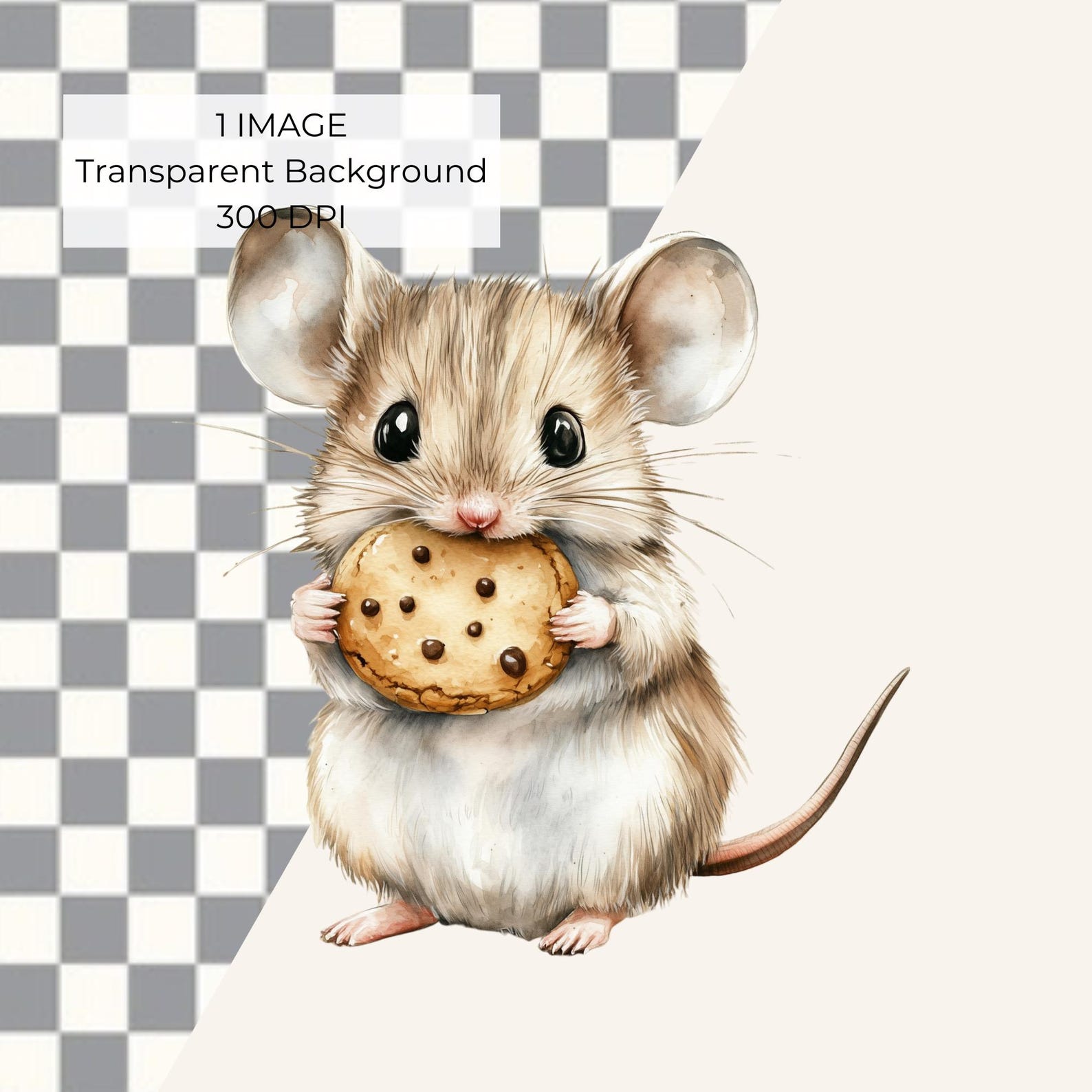 Cute Mouse Eating Cookie | SINGLE IMAGE | Cute Animals, Cute Farm ...