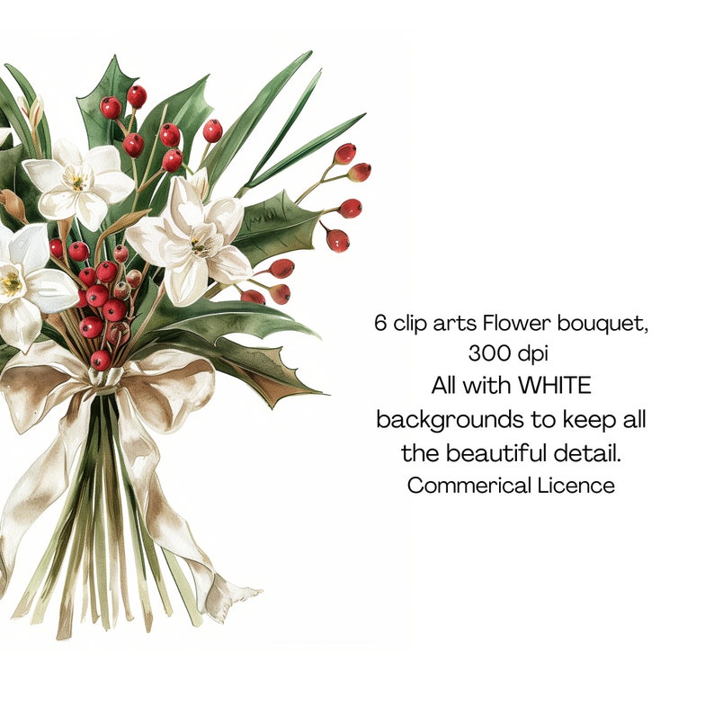 December Birth Flower Paperwhites & Holly Floral Clip Art December ...