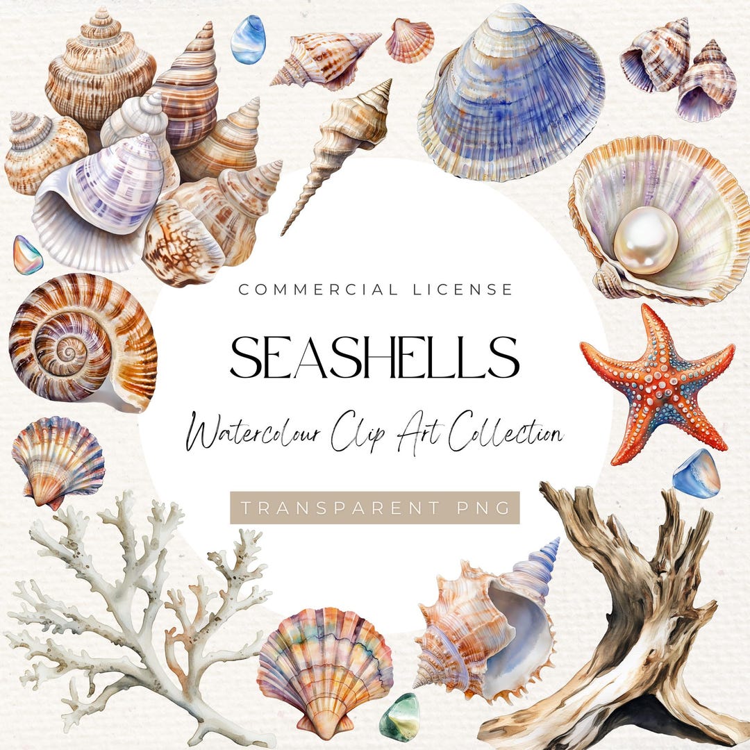 72 Seashell Clipart Bundle – Watercolour Shells, Beach Clip Art PNG ...