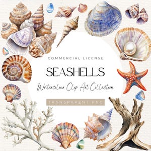 72 Seashell Clipart Bundle – Watercolour Shells, Beach Clip Art PNG ...