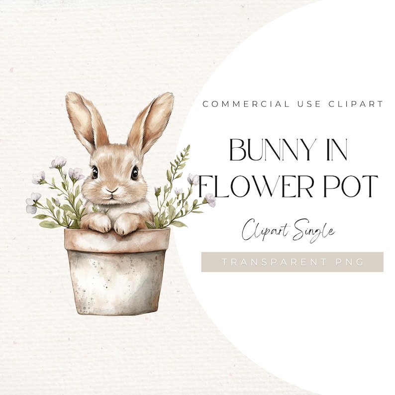 Watercolor Bunny Clipart – Rabbit in Flower Pot PNG, Spring Animal ...