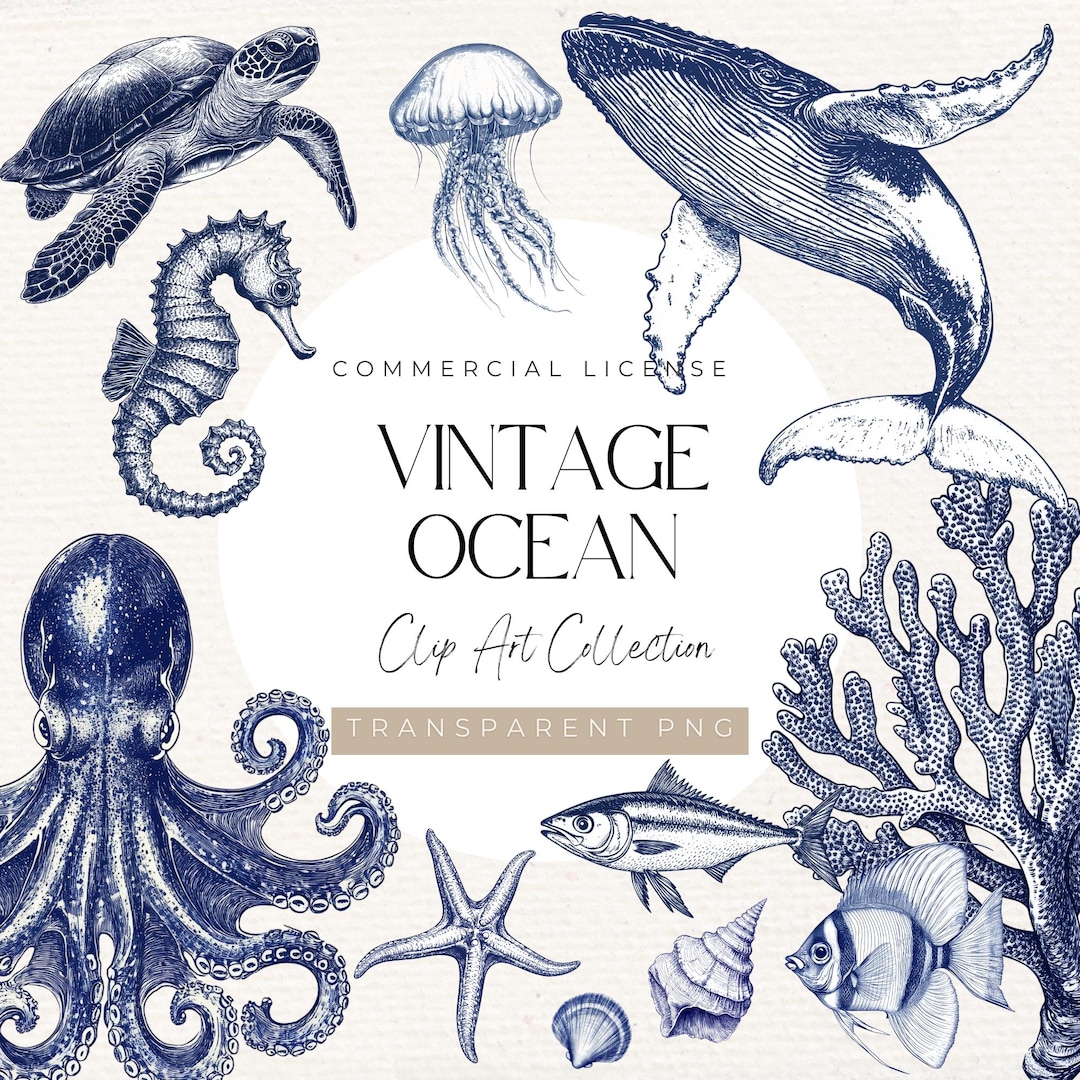 Vintage Ocean Clipart – 38 Navy Blue Sea Creatures in Etching Style for ...