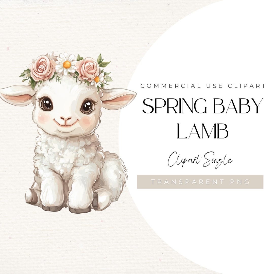 Floral Baby Lamb Clipart | Spring Animal PNG (300 DPI) - Etsy