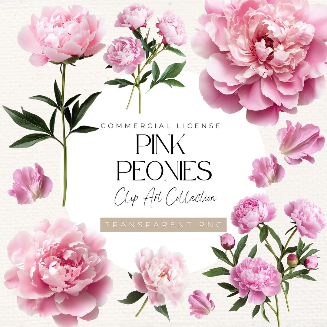 Pink Peonies Clipart – 16 Realistic Floral Pngs With Flat Lays and ...