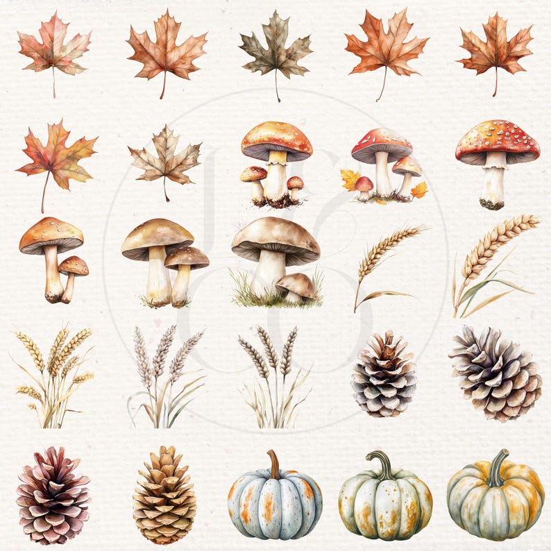 Watercolour Autumn Clipart Bundle: Fall Leaves, Pumpkins (commercial ...