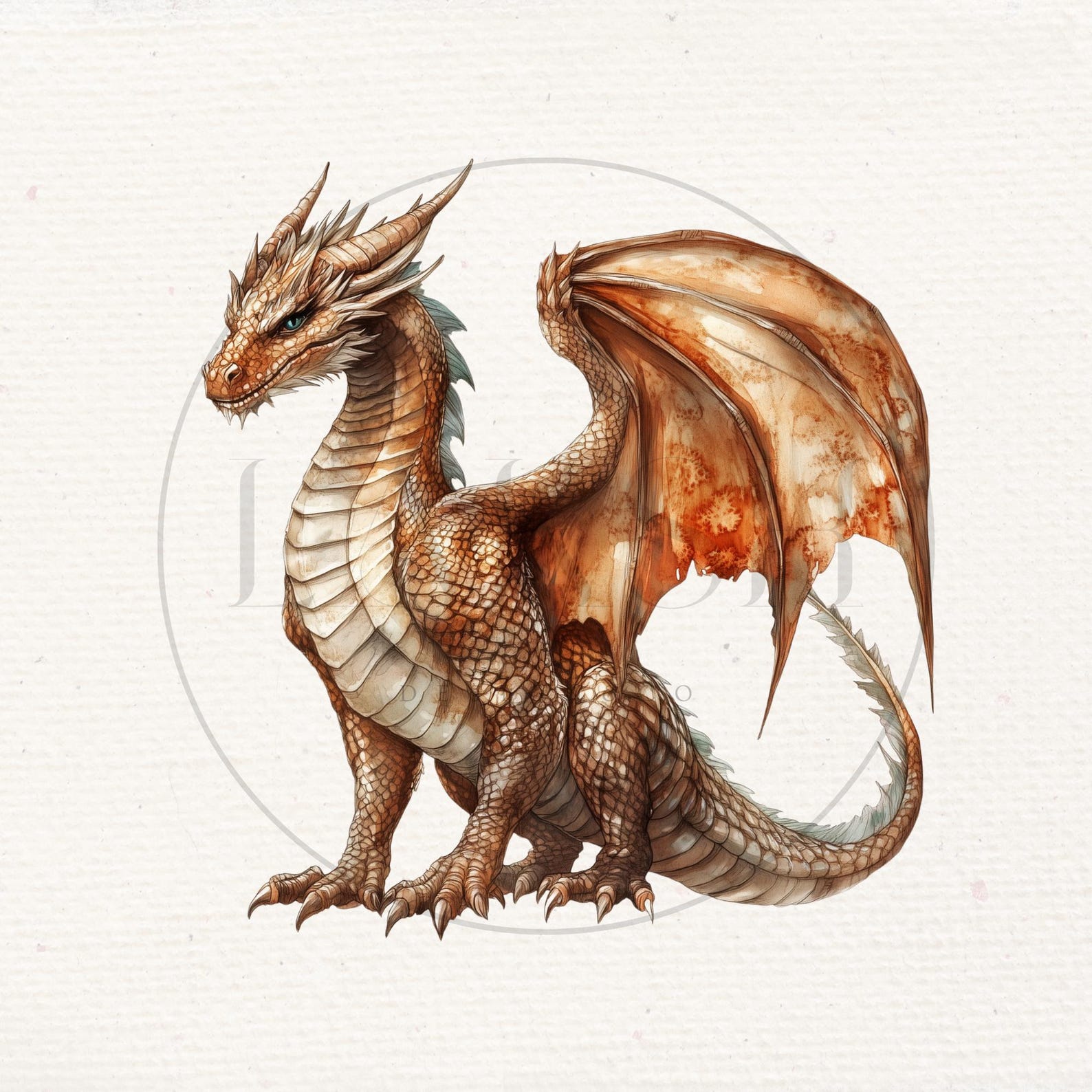 18 Dragon Clip Art Collection | Black, Gold, Bronze Dragons | Mystical ...