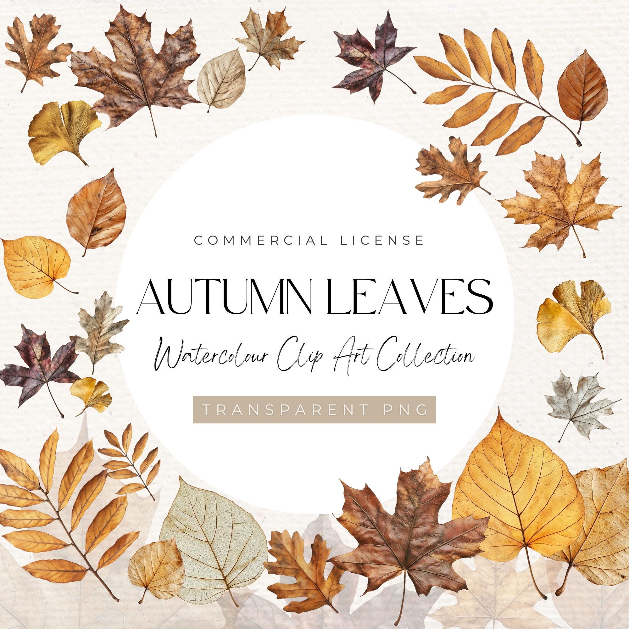28 Dried Autumn Leaves Clip Art | Fall, Fall Leaves, Fall Decor, Fall ...