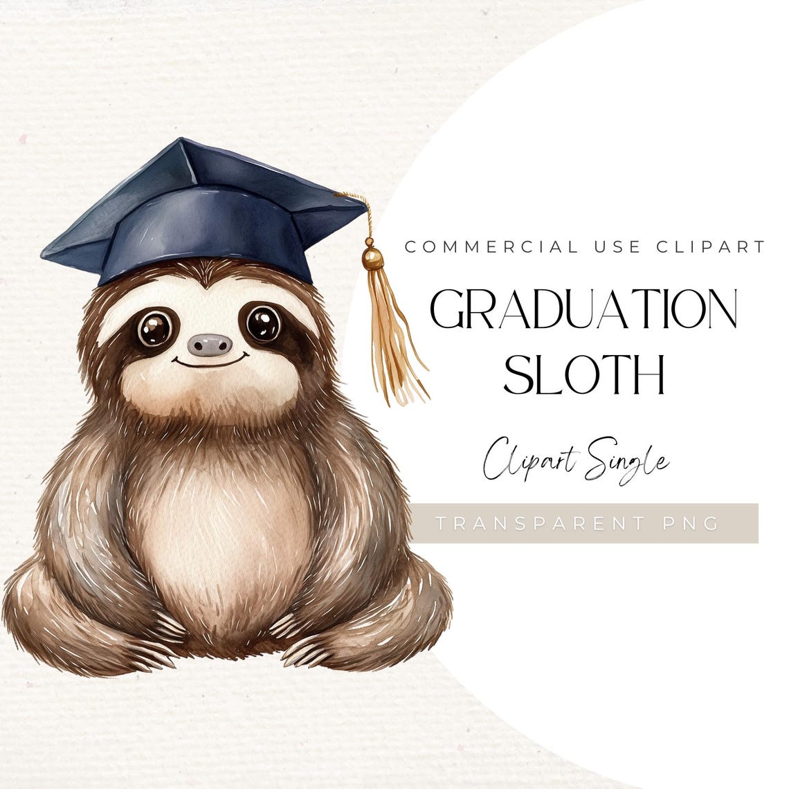 Watercolor Graduation Sloth Clipart – Class of 2025 PNG (digital ...