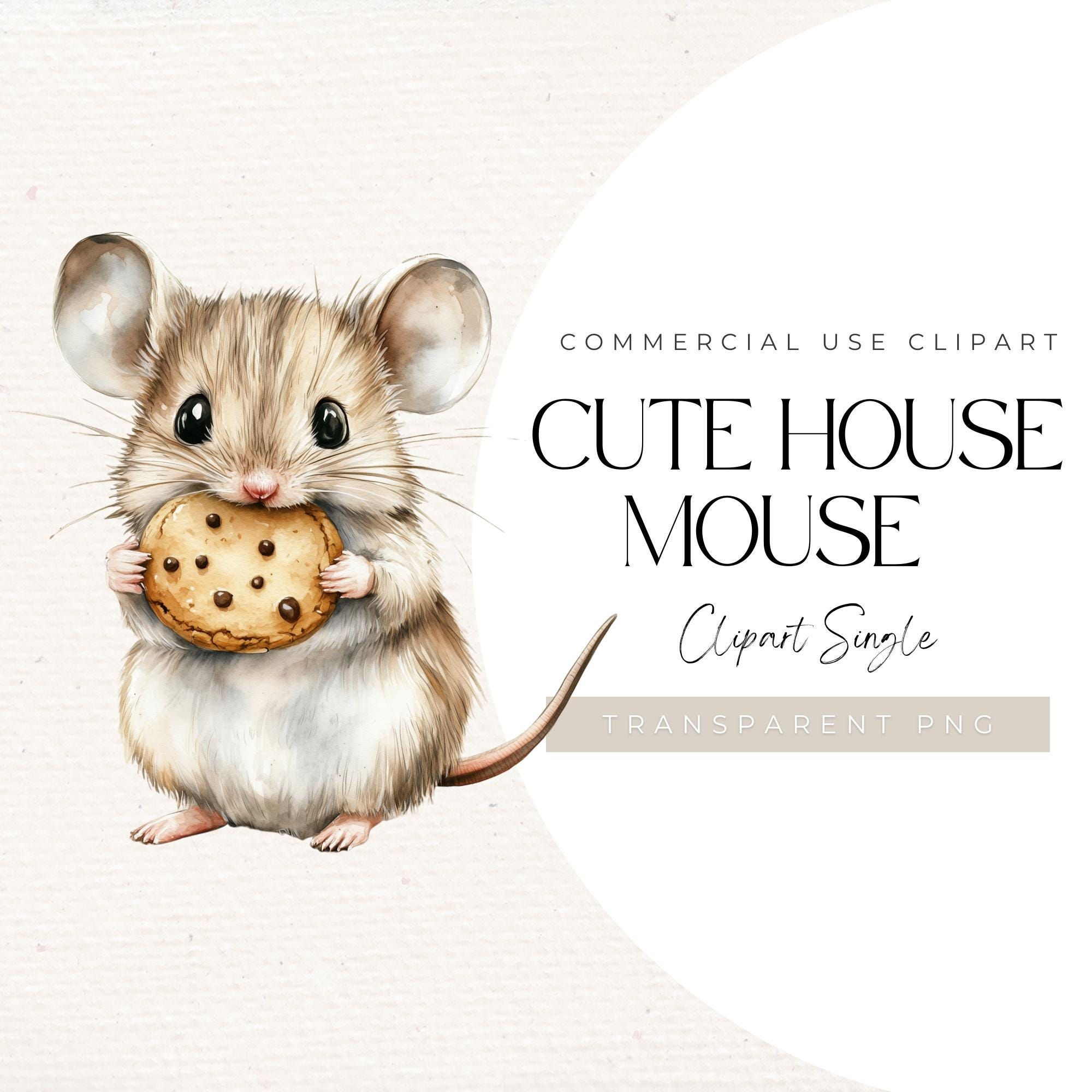 Cute Mouse Eating Cookie | SINGLE IMAGE | Cute Animals, Cute Farm ...