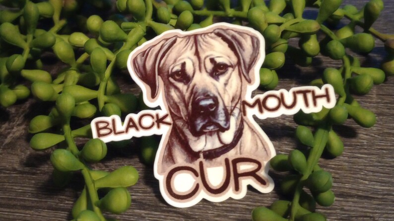 Black Mouth Cur 2 by 3 Inch Viny Sticker, Sealed Water Proof Black ...